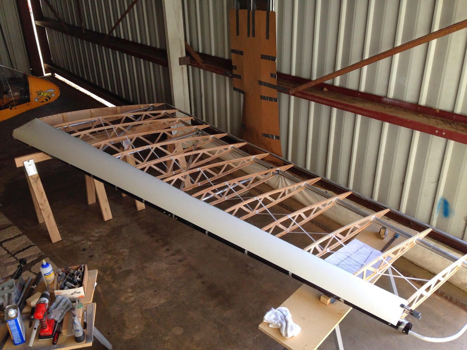 The Skyhopper Ultralight: Wing