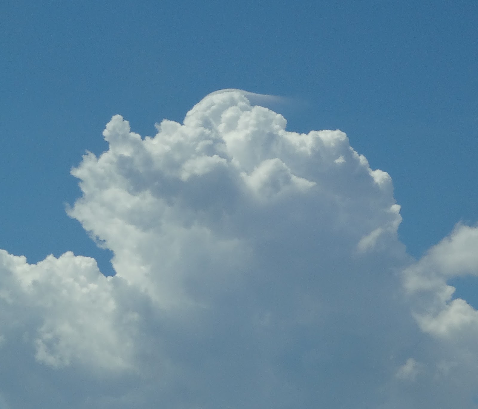 Math, Science, and Technology Blog: Pileus Clouds