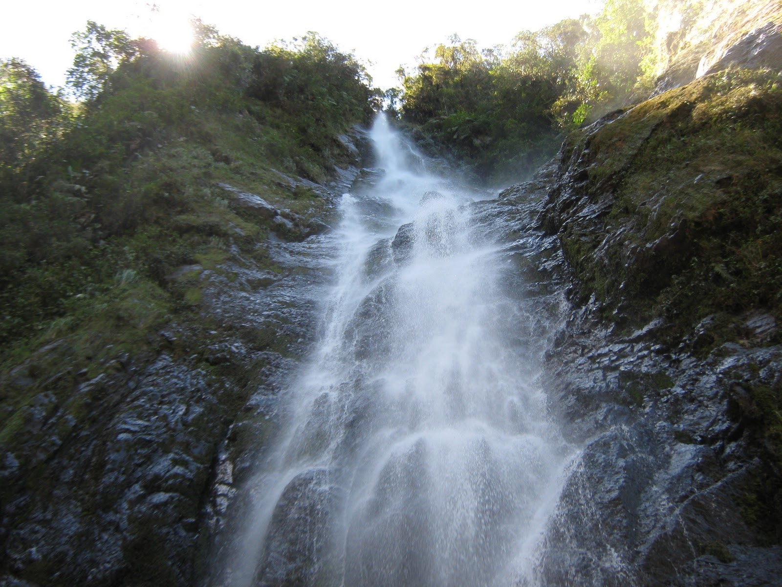 Parque Nacional Natural Tatamá: 2011
