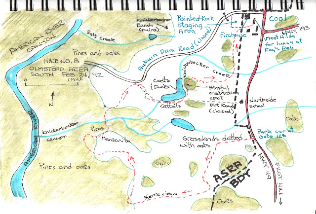 Tony's Vision . . . The Blog: Hike No, 8 - Olmstead Loop South