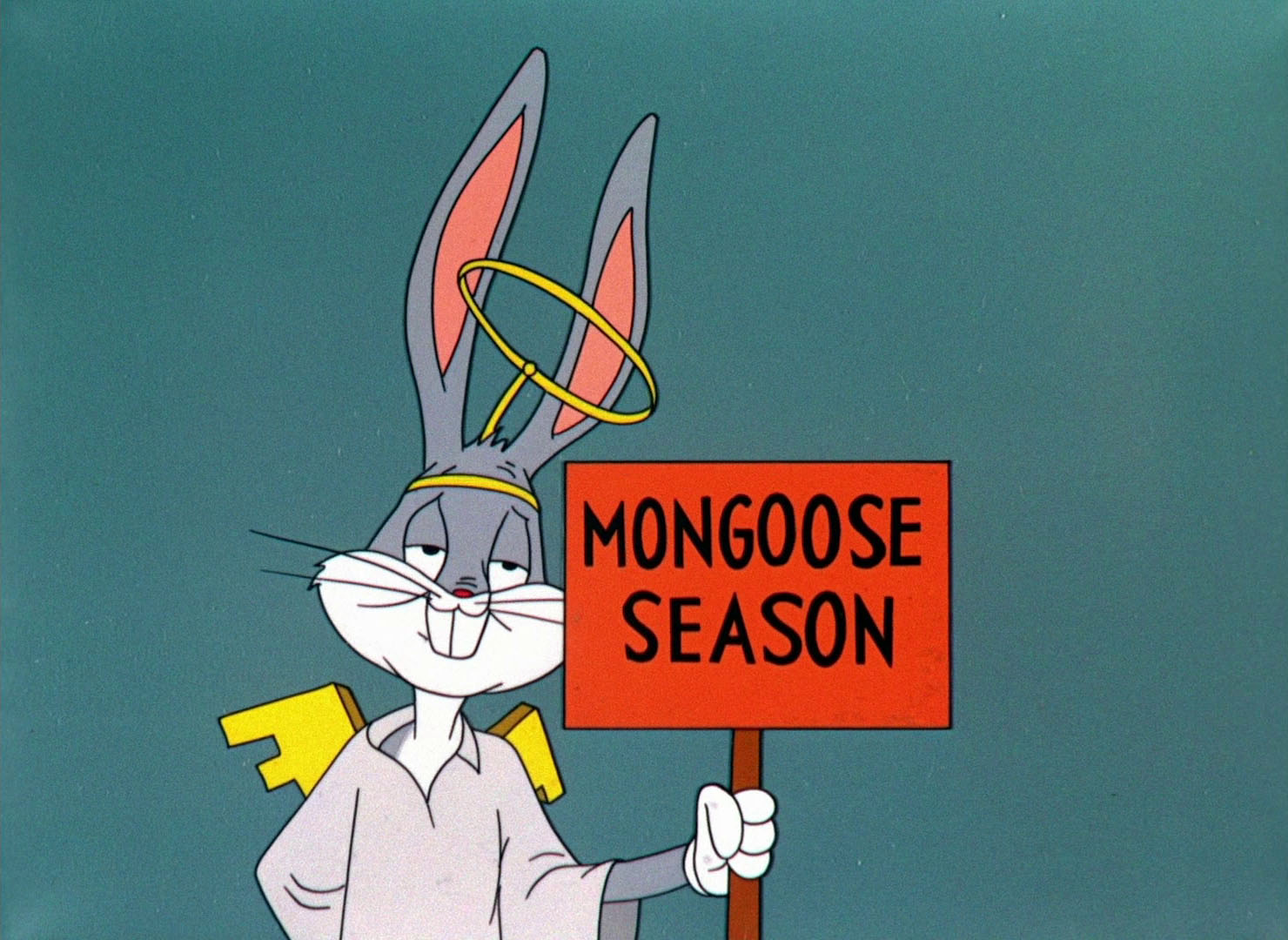 Duck! Rabbit, Duck! - cartoon characters