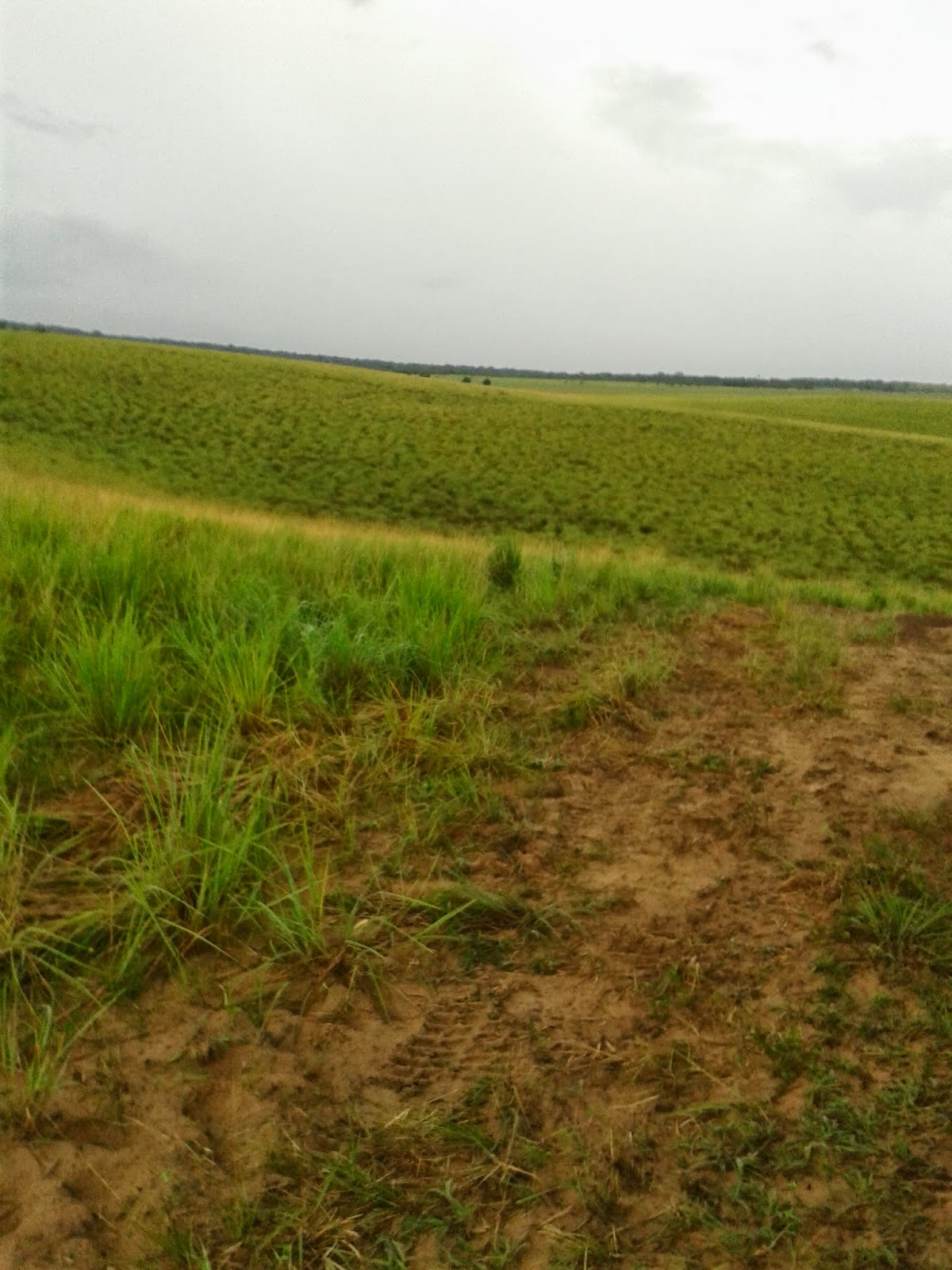 Los Medanos de Capanaparo - Elorza, Capital Folklorica de Venezuela