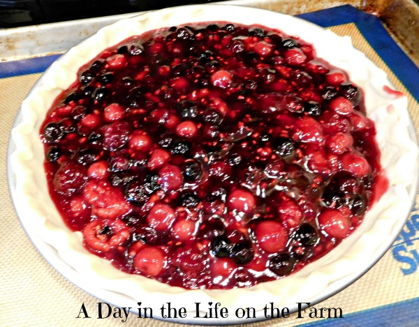 A Day in the Life on the Farm: Michigan 4 Berry Pie #FoodnFlix