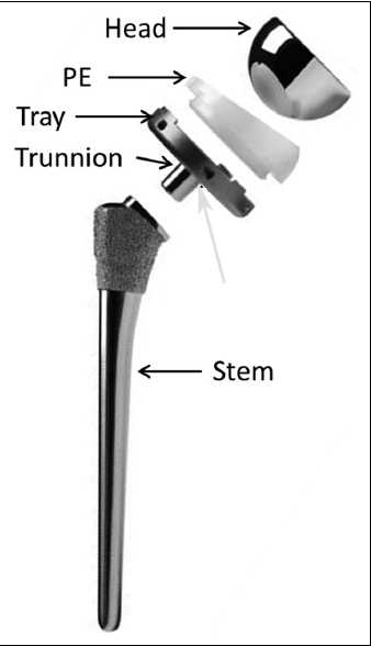 Shoulder Arthritis / Joint Replacement : How does the fillet relate to ...