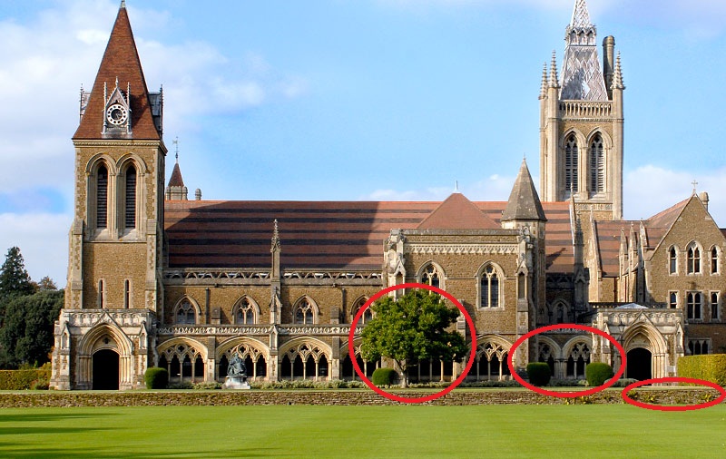 The abri of reveries: Vampire Academy: trailer vs book analysis ...