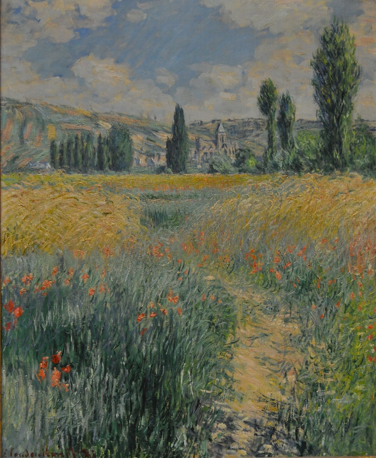 Wit's End: Where Have All the Forests Gone? Long Time Passing...Where ...