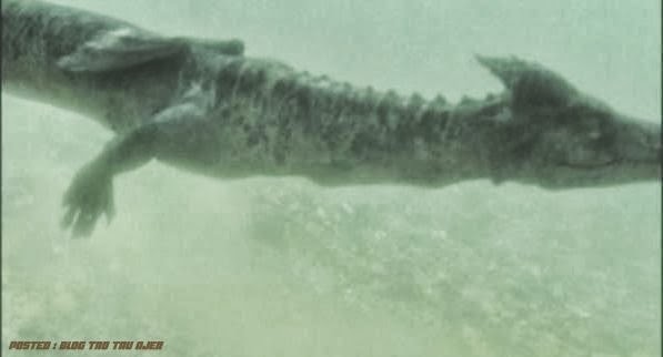 Ular Naga Wujud Di Sungai Muar? - Sensasi