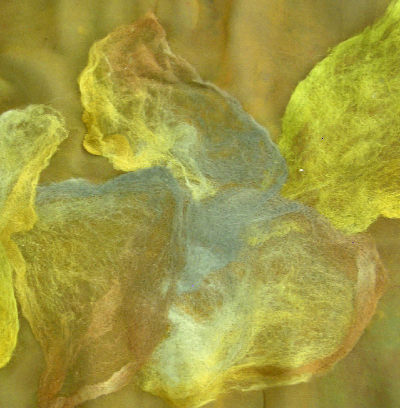 Lisa Kerpoe: Three Dimensional Texture - Needle Felting