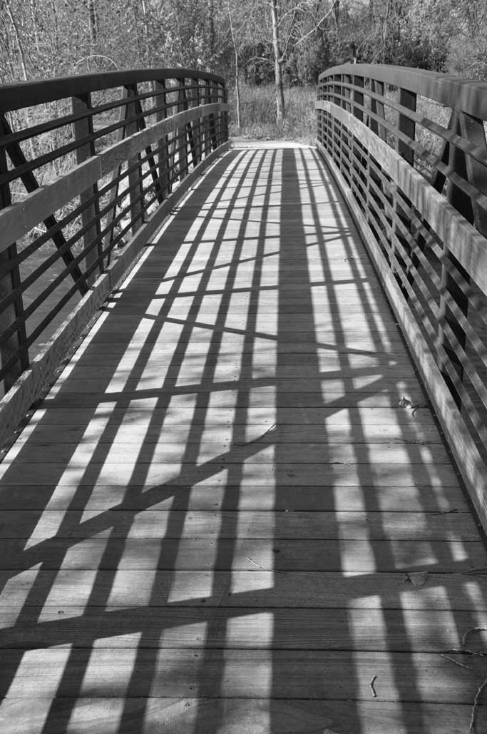 Taken For Granted: Bridge Pattern