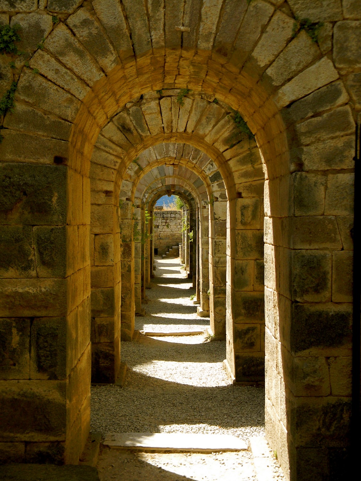 Photography Tutorial Notebook: Repetition Photography