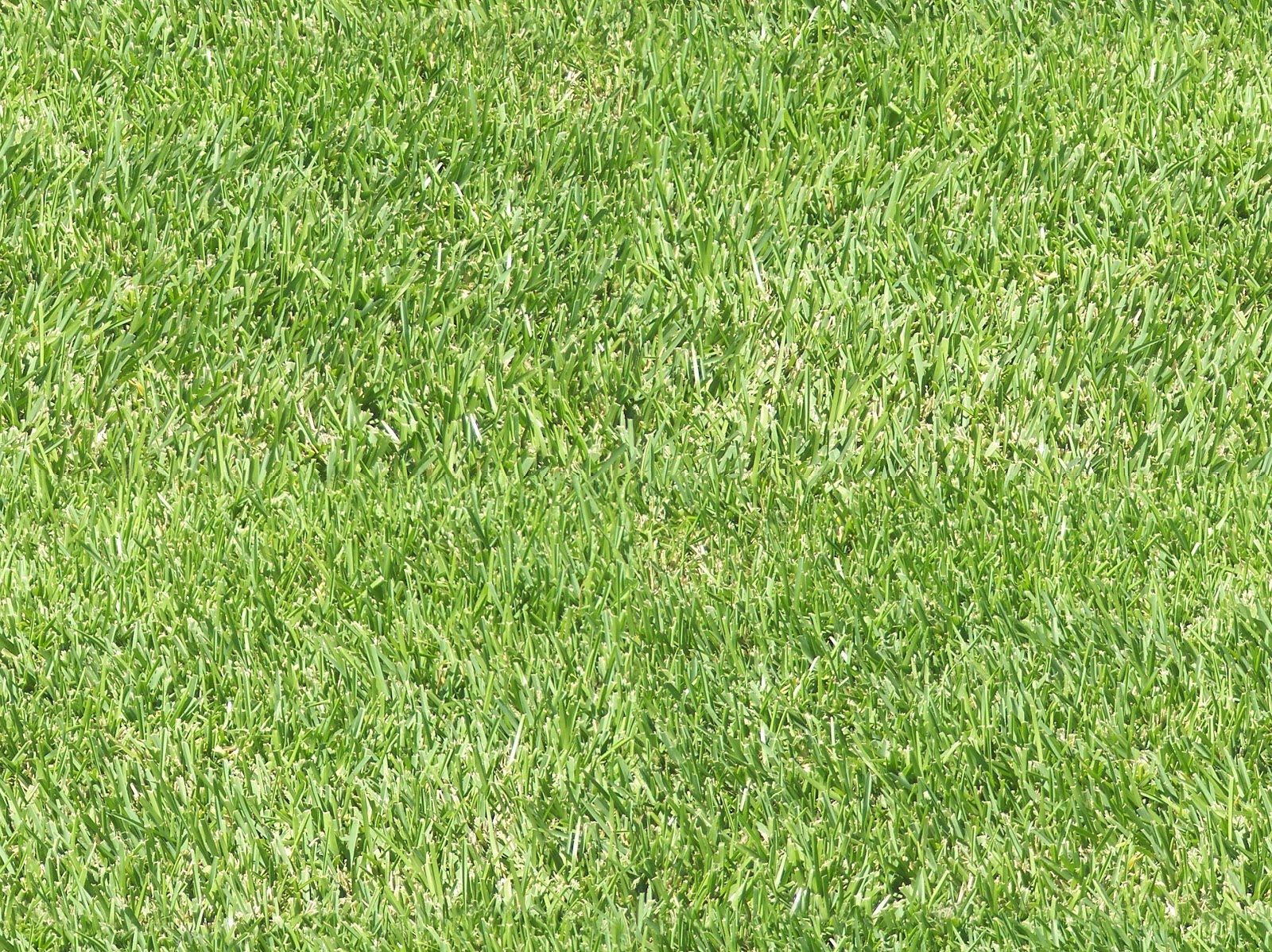 Texturas HD variadas gratis