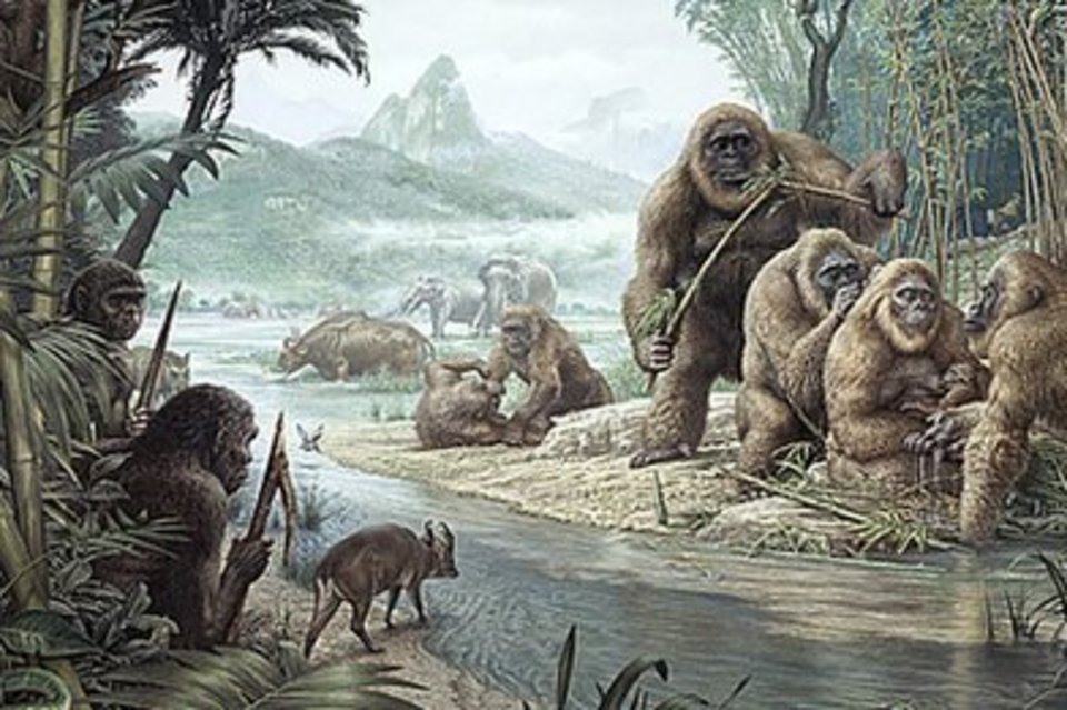 Arquivos do Insólito: Ufologia, Criptozoologia, Fenômenos Anômalos ...