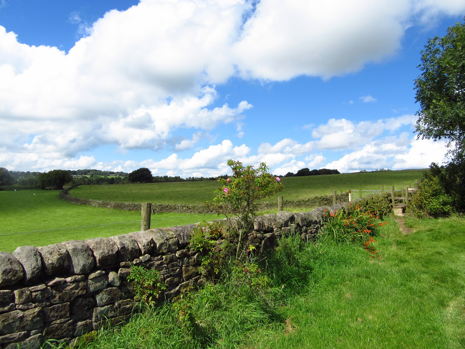 Bunny Mummy: Hilly Fields