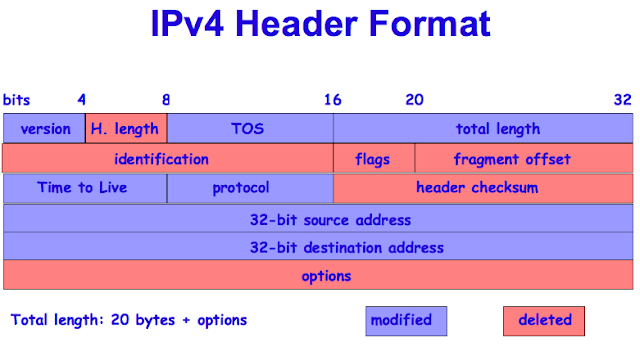 Networking And Scripting : Packet Formats to Remember