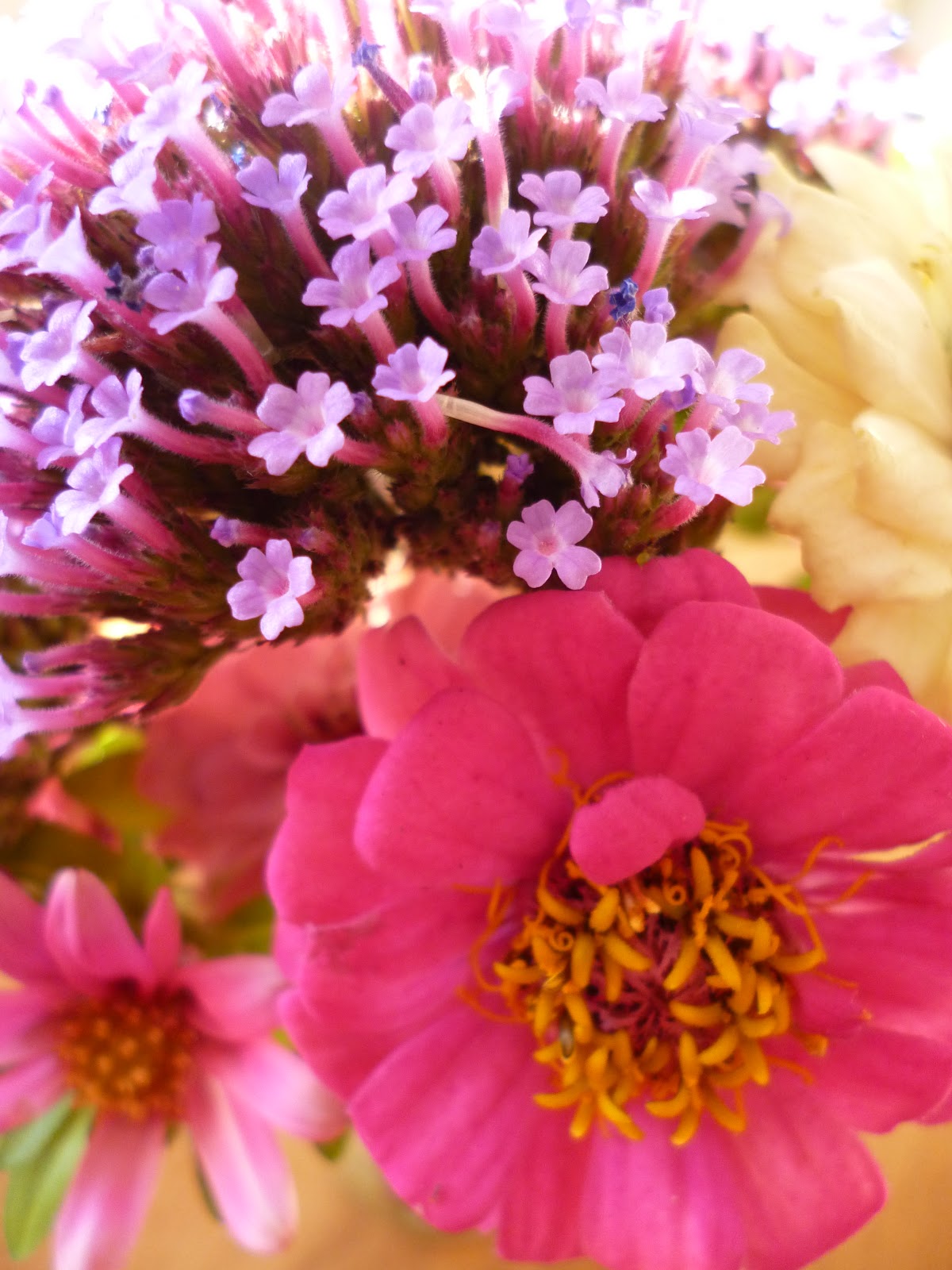Glass Ketchup Bottle Creates Perfect Flower Posy Vase - GARDEN, TEA ...