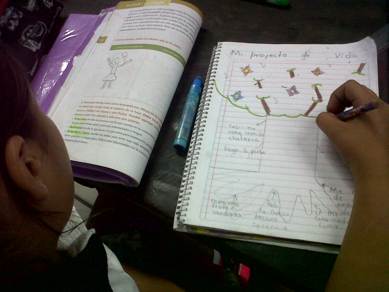 Mis proyectos.: ¿Cómo soy y cómo quiero llegar a ser?