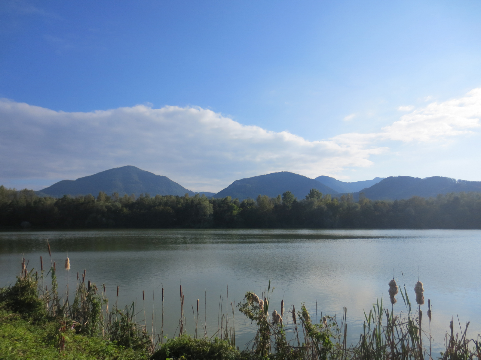 Menard & Jack Russell Terrier: Ribnik Vrbje / Žalec
