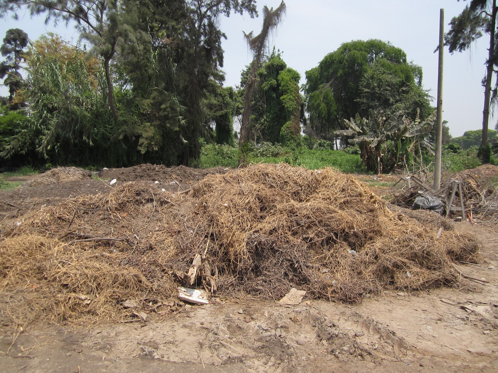 Windrow composting - Treating Organics