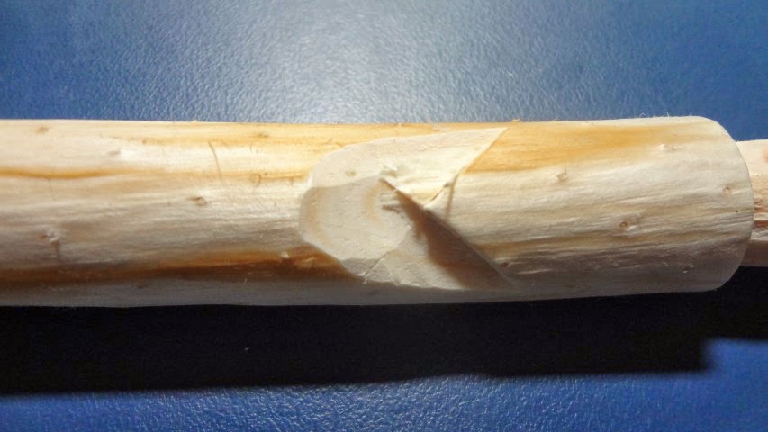 "Try Stick" ~ | Bushcraft Berg