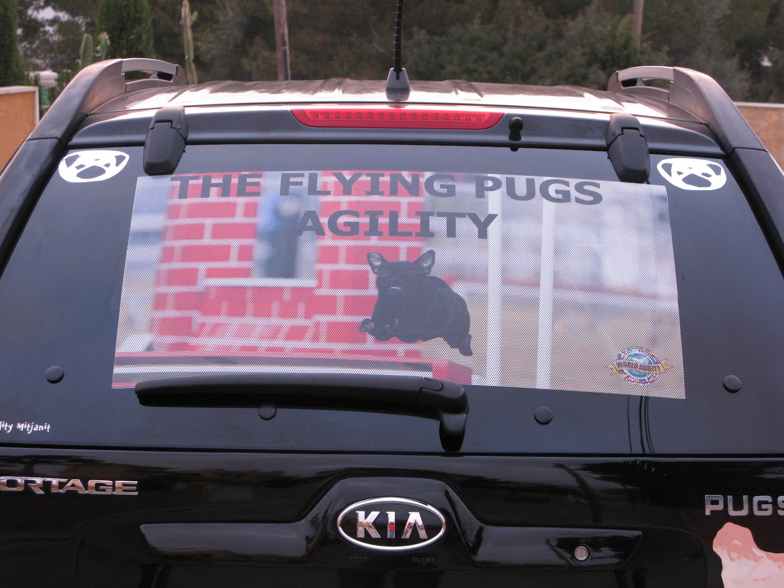 THE FLYING PUGS: The pug mobile