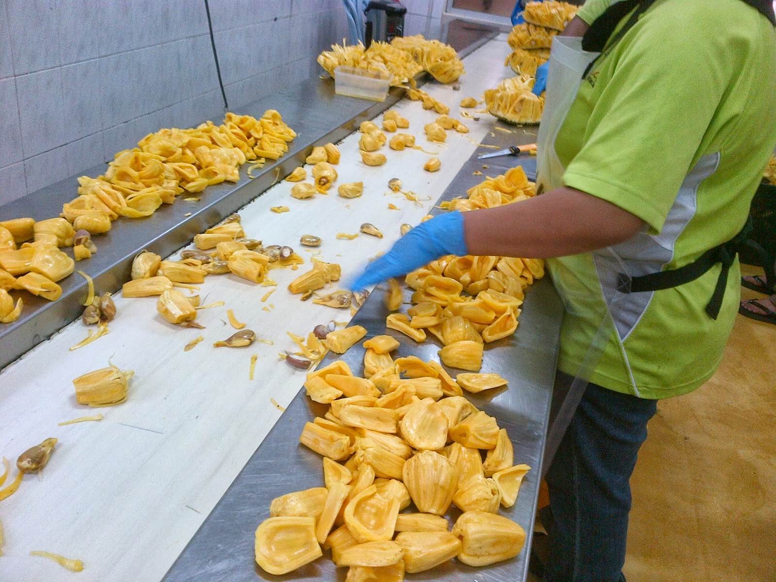 JACKFRUITS: Jackfruit Processing