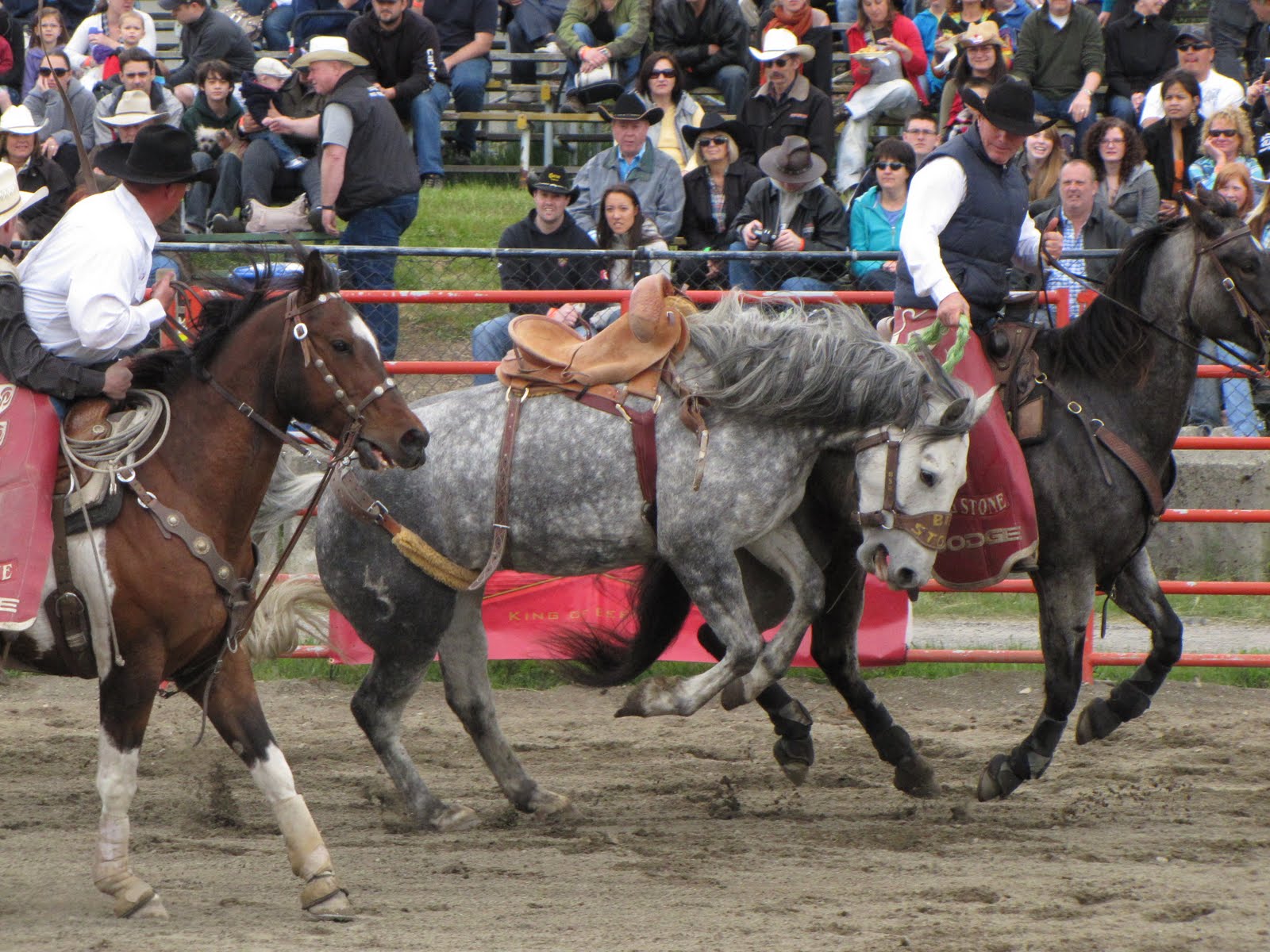 Millennium Dragon: May 2011 - Luxton Rodeo Images...