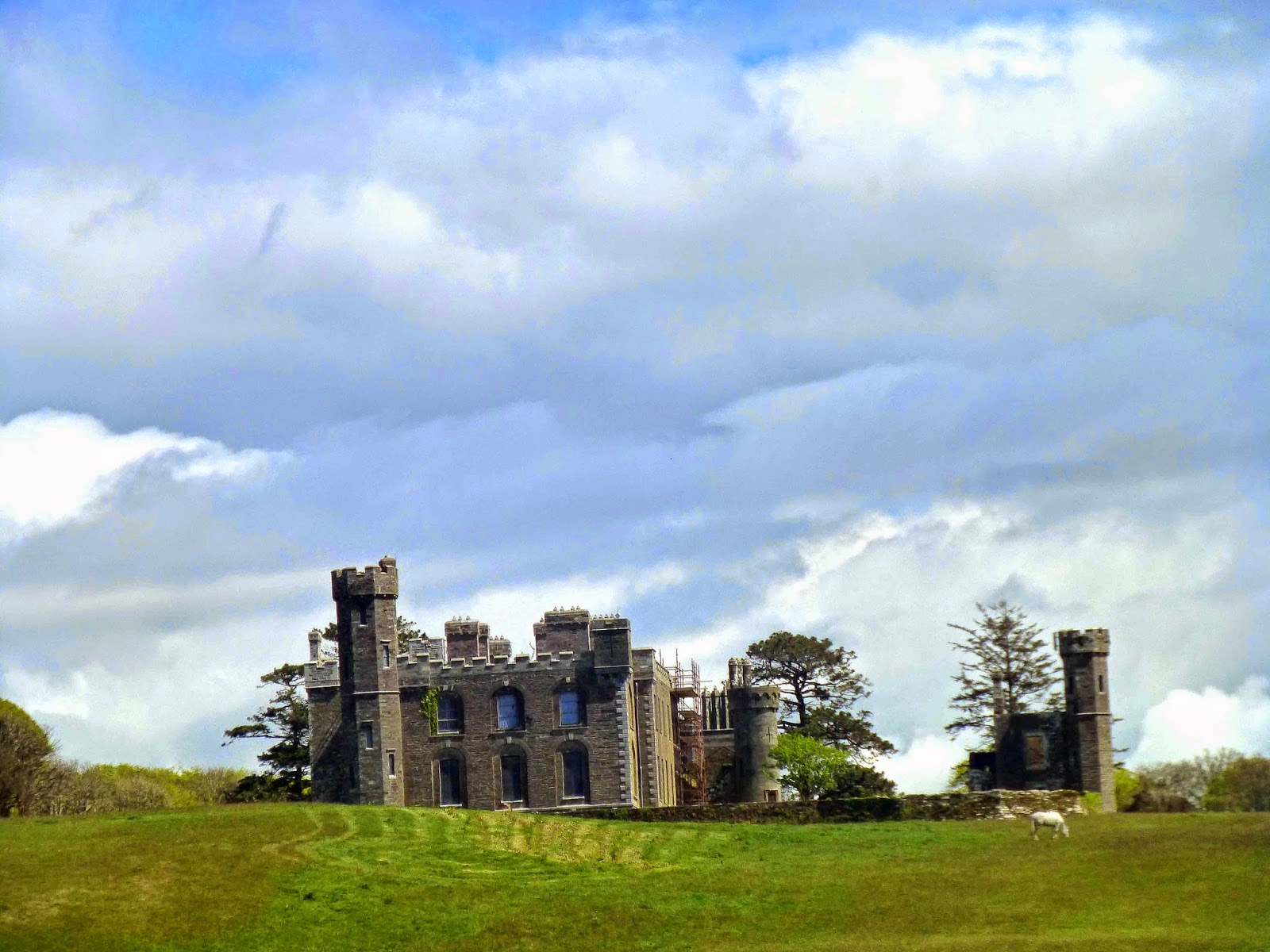 Castlefreke and Rathbarry. The Castles And The Wood