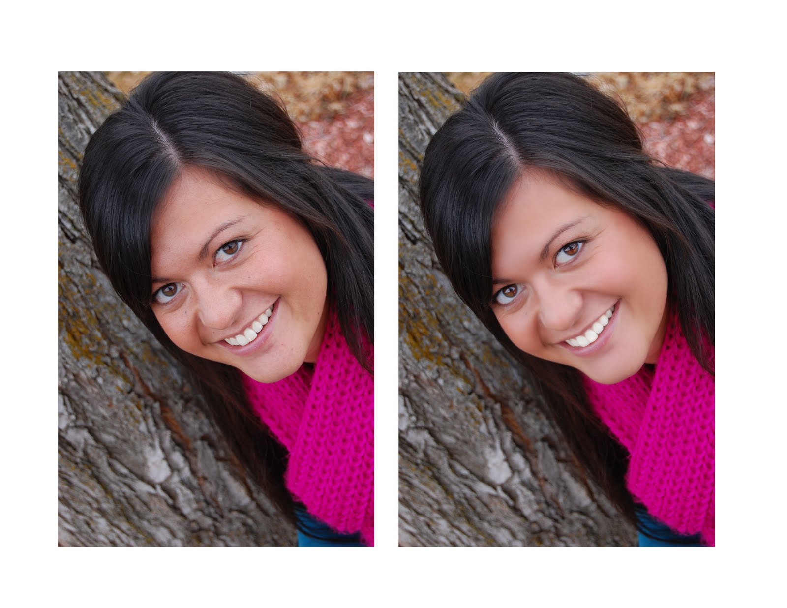 Image-In: Learning about Portrait Touch Ups