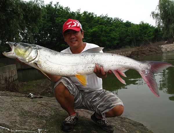 ANGLING WORLD 魔魚釣界: Monster Fish in China - Yellow Cheek!!