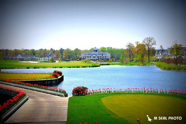 MSealPhoto: 18th Hole & Clubhouse, Baywood Greens - Long Neck, DE