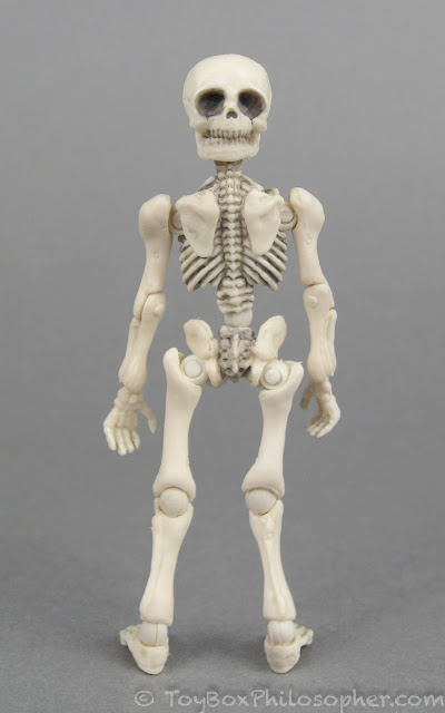 Skeleton Throwing Its Head