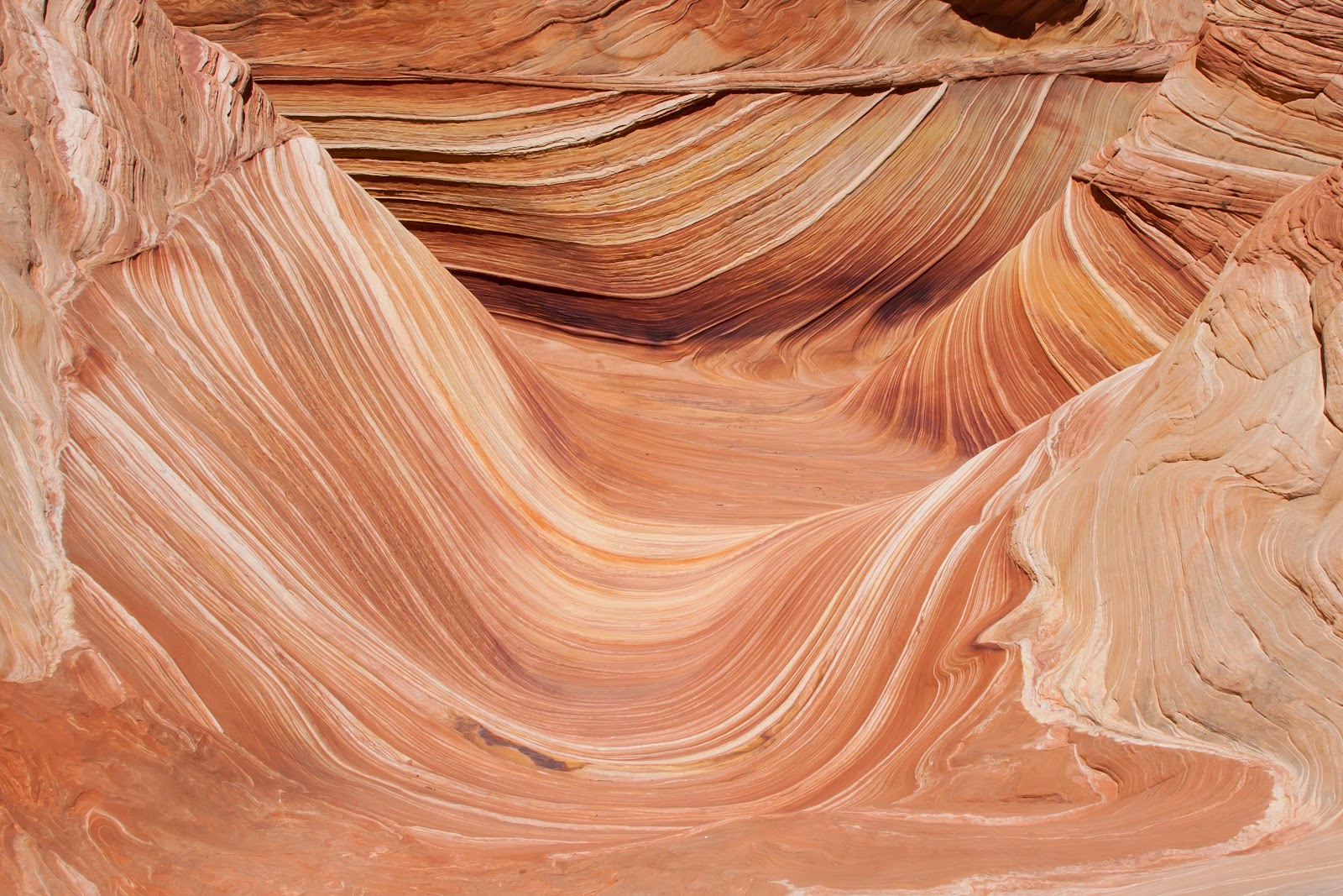 View from the Exerda: Eight Miles in the Mid-day, Mid-June Desert Heat ...