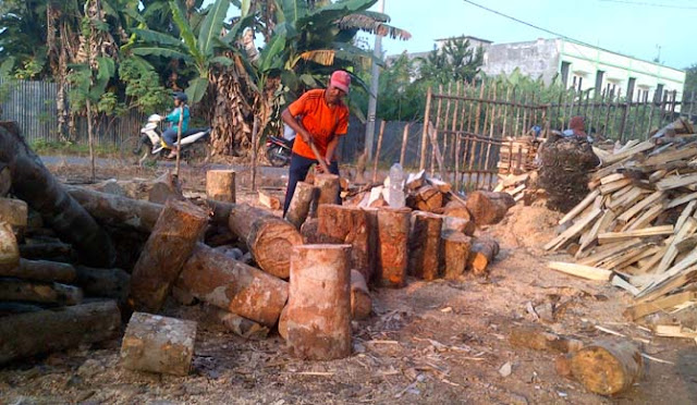 Berjualan Kayu Api Menjadi Bisnis Menggiurkan - jambiterbit.com