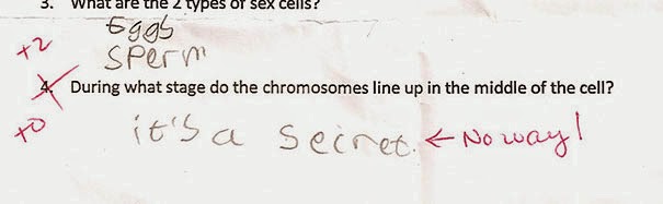 12 Ridiculous Exam Answers From These Smart Kids Will Make You Laugh ...