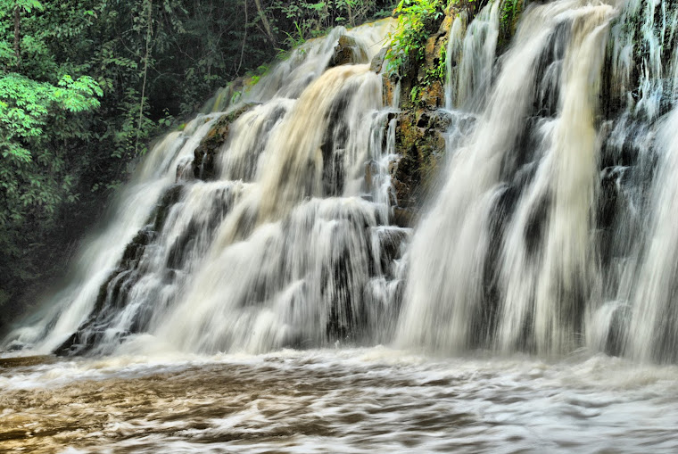Jungle Tracking (Pahang State) - Malaysia Track