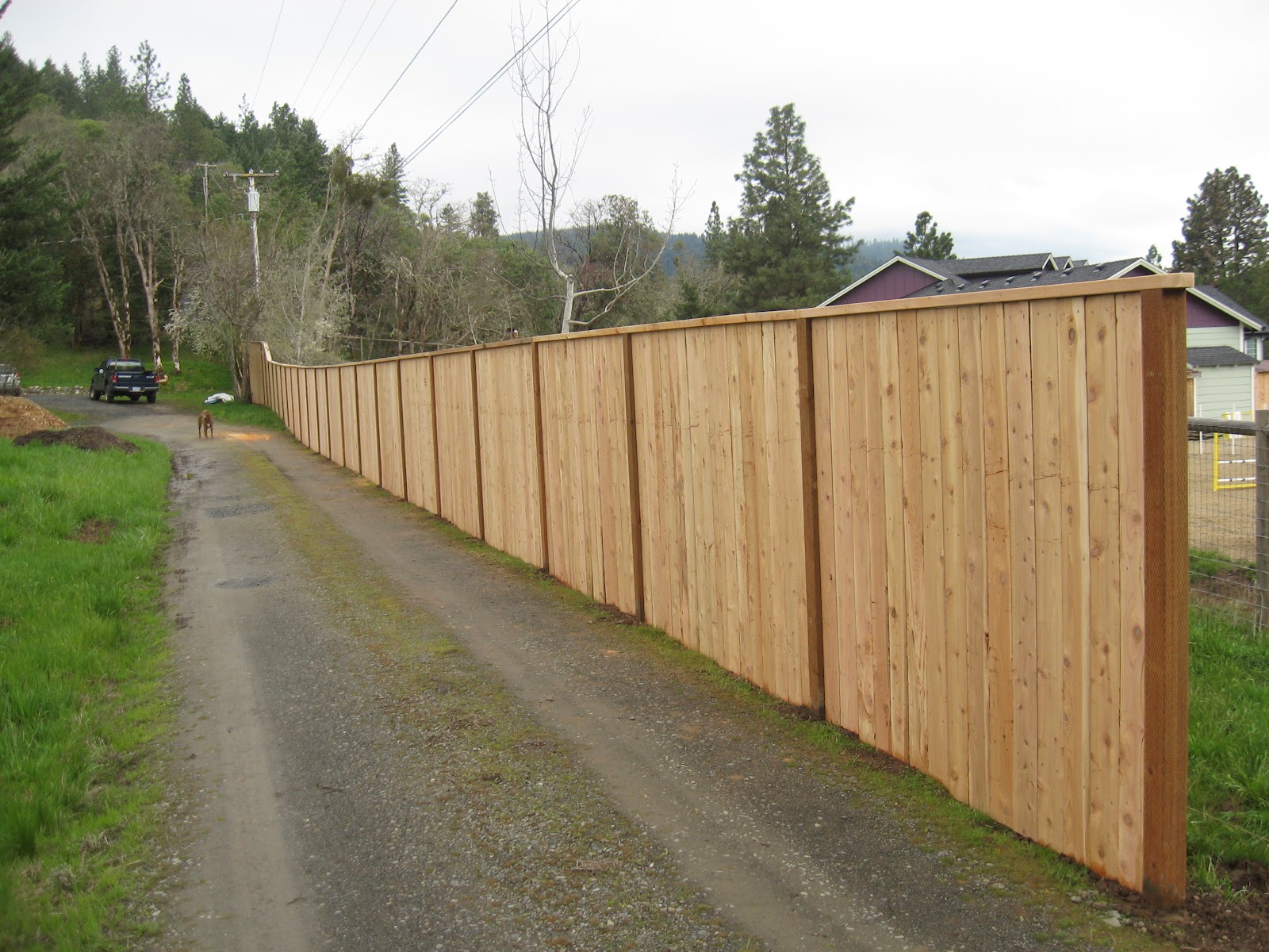 Dwell Concepts: Cedar Privacy Fence Part 2