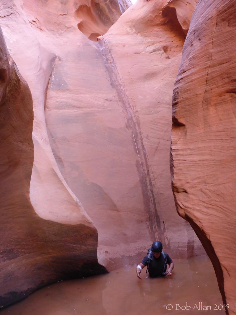 SmilingCricket.com: Red Spur