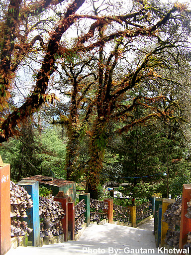 Uttarakhand Devbhoomi: Dunagiri