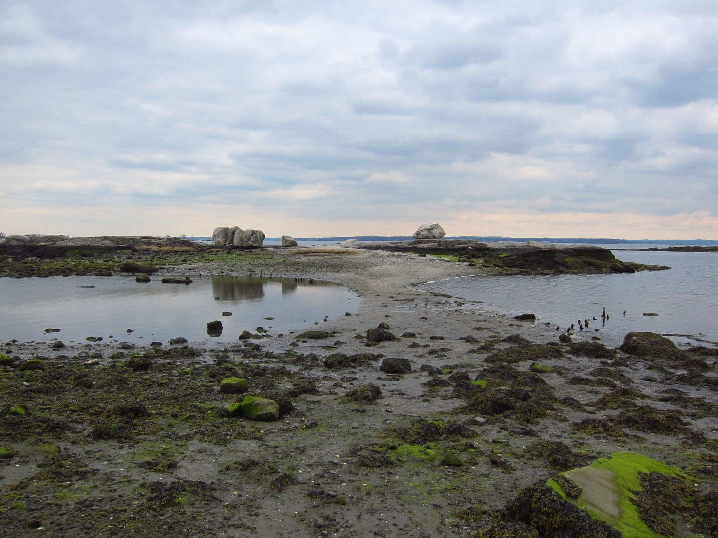 66 Square Feet (Plus): Pelham Bay Park in early April