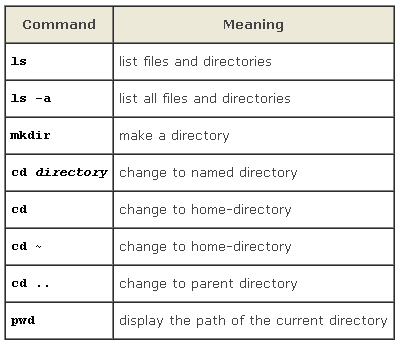 Some Basic UNIX Commands - 1