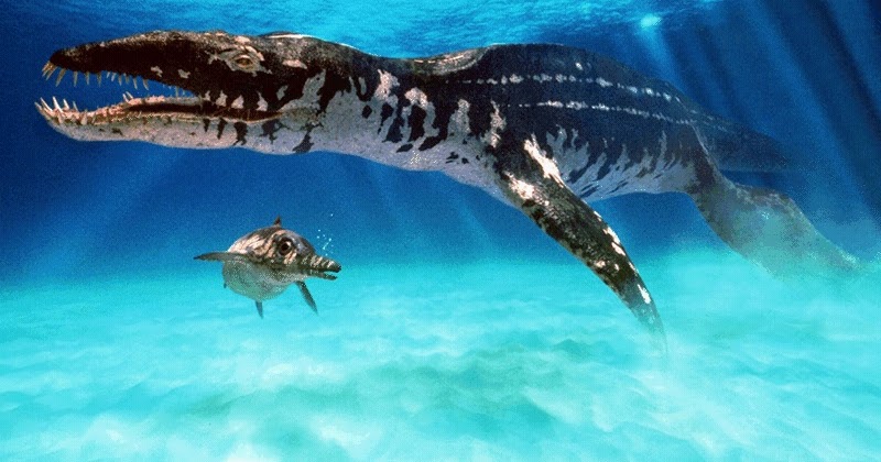 Palaeos, la historia de la Vida en la Tierra: ¿Pliosaurios gigantes?