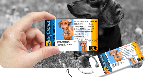 Petdriverslicense: Dog Drivers License Tags - Effectively Identify Your ...