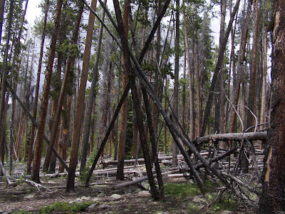 RMSO Bigfoot: Log Structures at Bigfoot Sighting Hot Spots