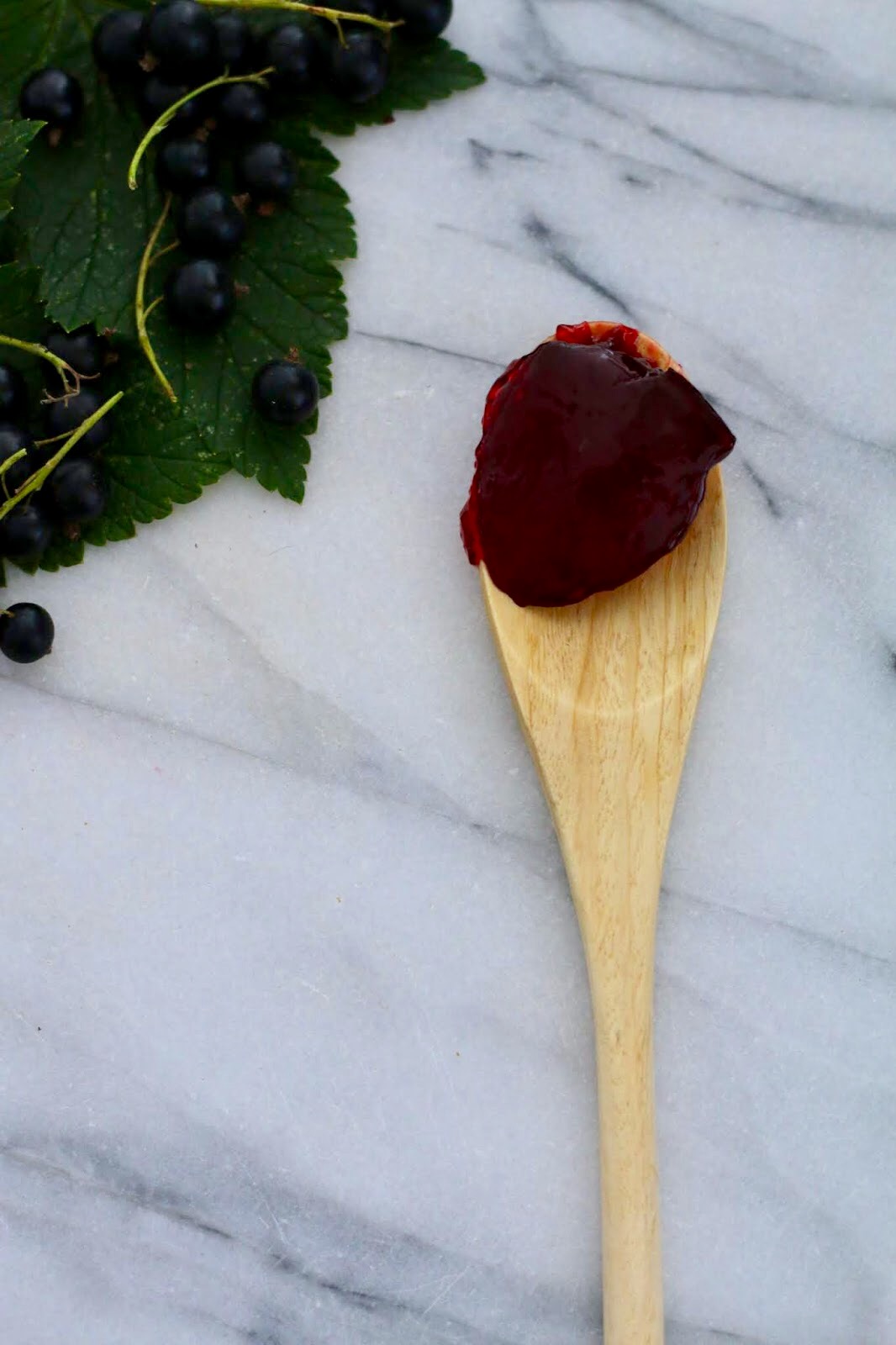 Black Currant Jelly | Life with Jane