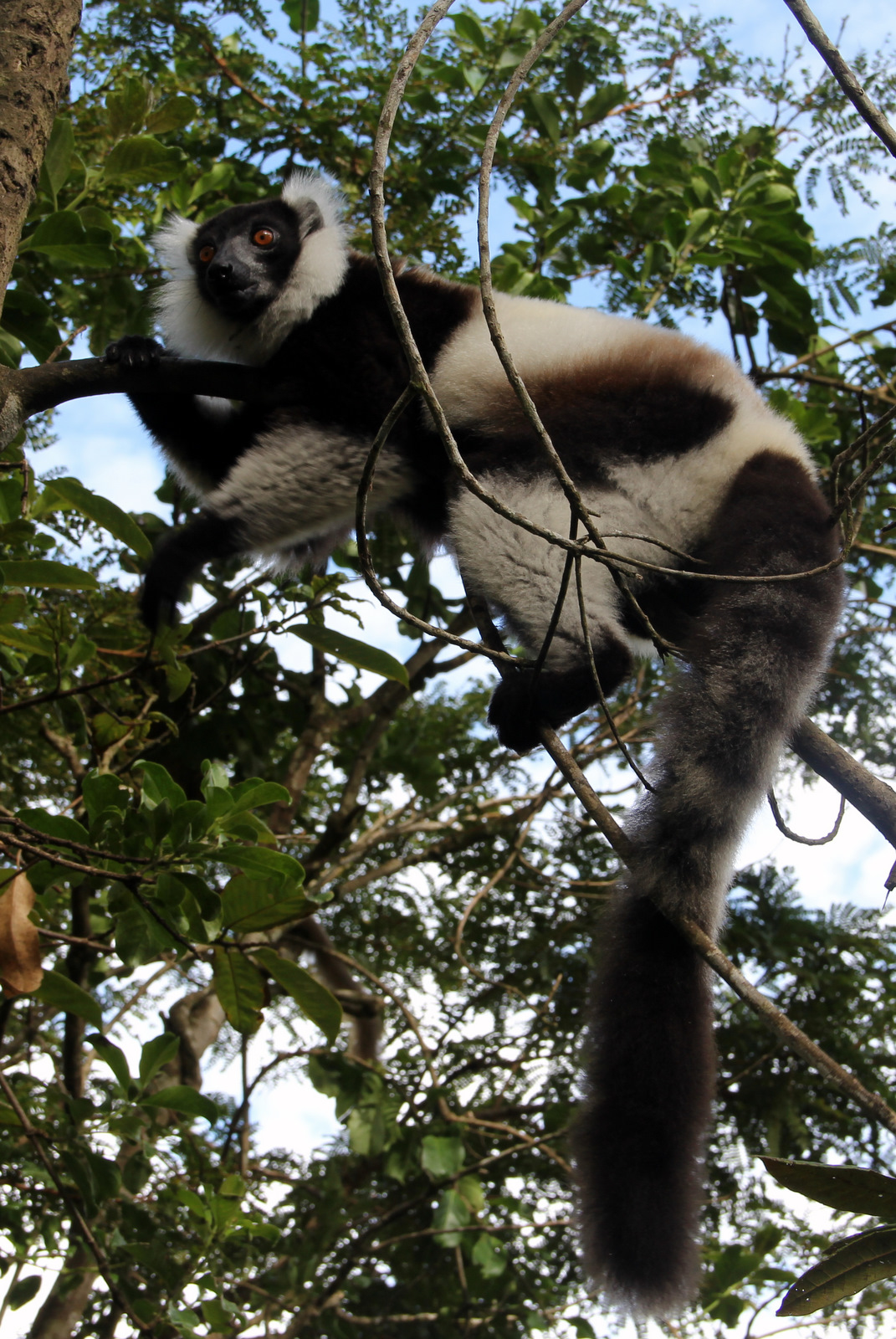 All The Live Long Day: Madagascar Honeymoon, Post #2: 11 to 13 April 2011