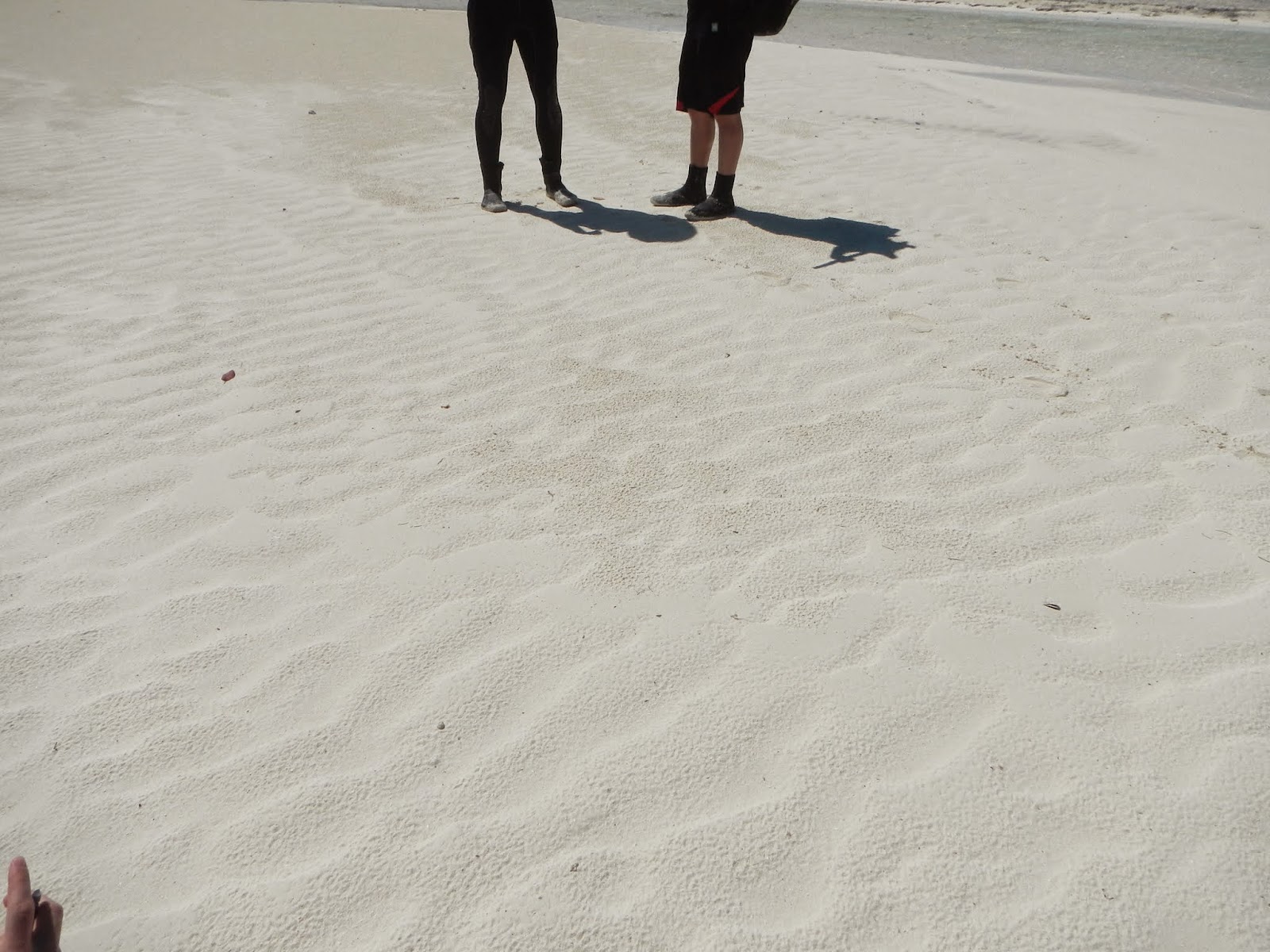 Finding Fossils...: Turks and Caicos Day 4- Ooid Shoal Day