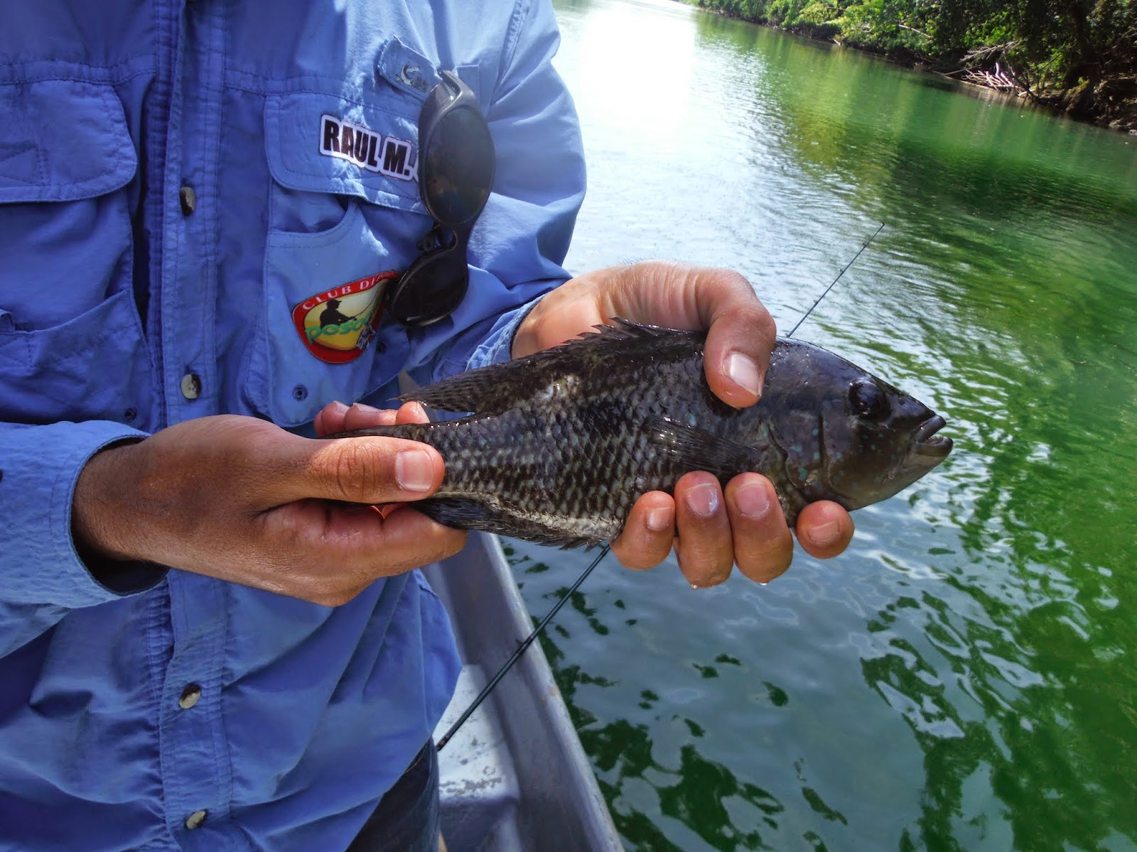 Espacio de Pesca: Pesca de picuda y mojarra en el rio la miel, San ...