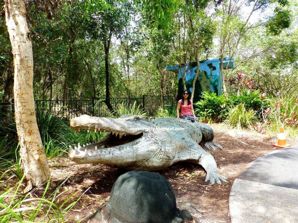 anythinglily: Currumbin Wildlife Sanctuary: Review And Photos