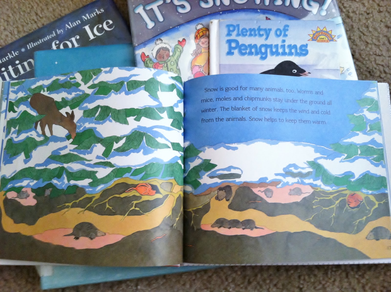 Noahs Ark Homeschool Academy: Our Mr. Popper's Penguins Book Box