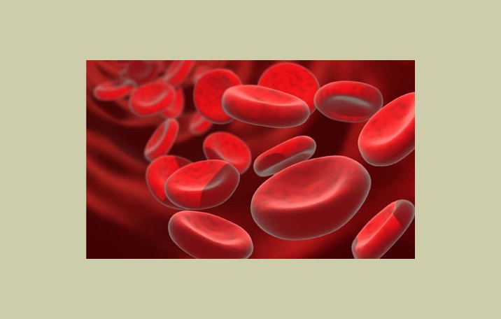 Eritrosit : Pengertian, Struktur, Fungsi, Proses Terbentuk - Asep Respati